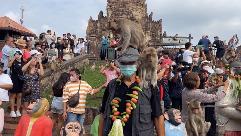 Shared post - Lopburi Monkey Festival 2022