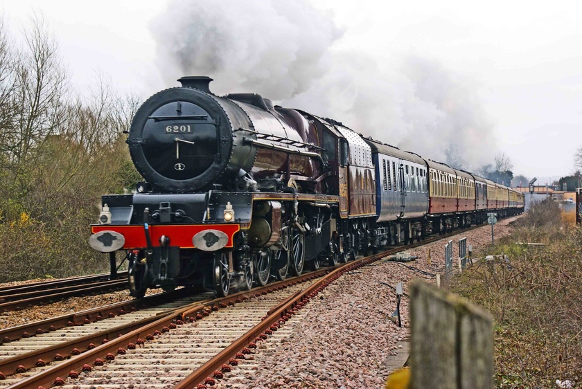 Shared post - T R A I N