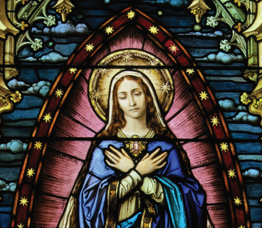 Shared post - Novena in Honor of the Immaculate Conception of the ...