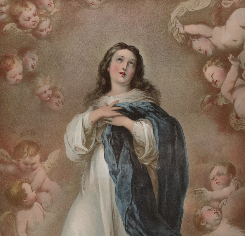 Shared post - Novena in Honor of the Immaculate Conception of the ...