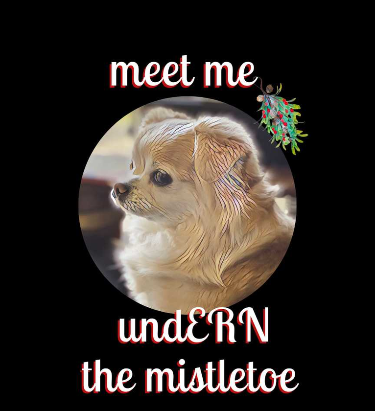 Shared post - The Habibi Bros Discord server