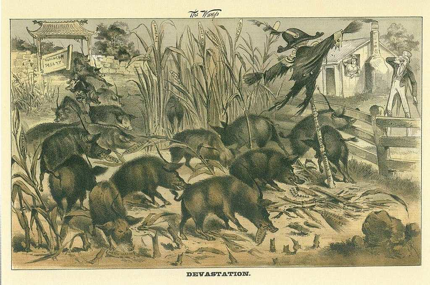 Shared post - Racist cartoon from The Wasp: Chinese immigrants,