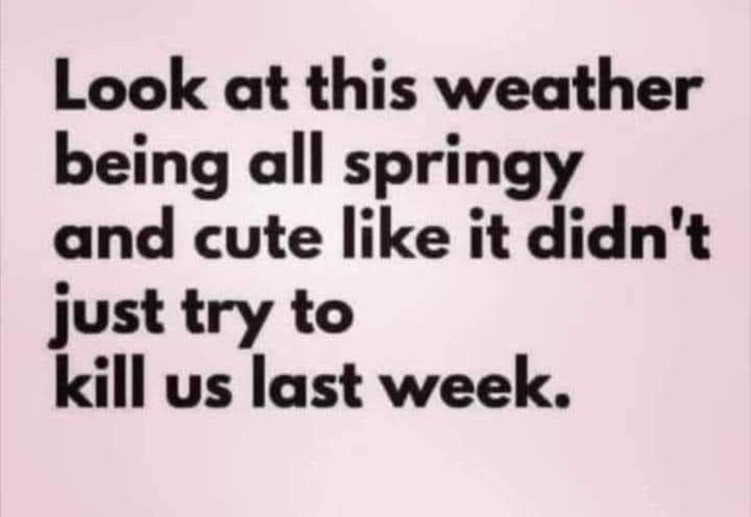 Shared post - PRECIOUS