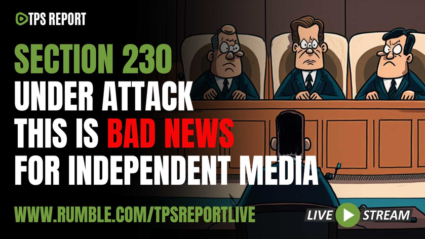 Shared post - WHY TPS REPORT NEEDS SECTION 230