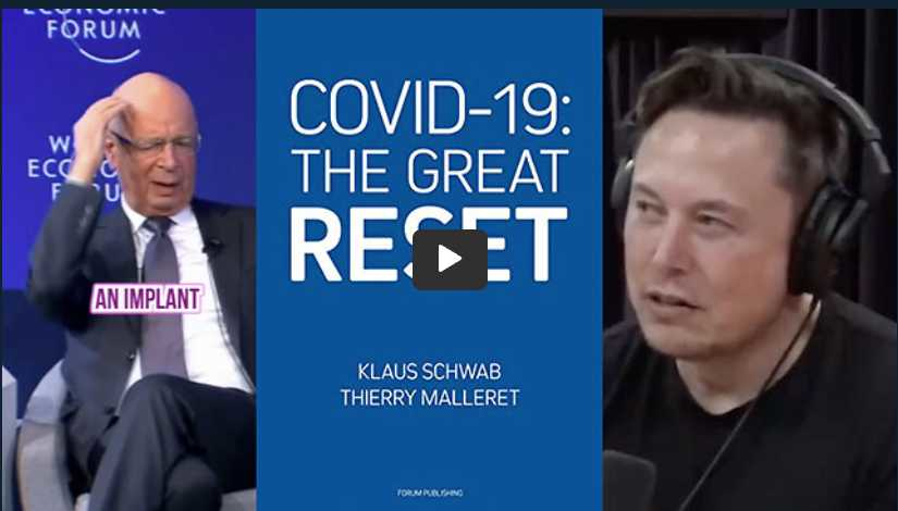 Shared post - The Great Reset | Why Do Klaus Schwab & Elon Musk Agree ...